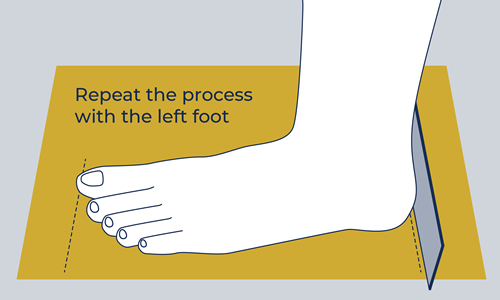 Harold Boot Company, Australian boot makers.